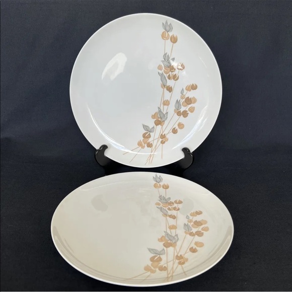 Franciscan | Dining | 2 Franciscan Whitestone Fan Tan 25 Dinner Plates ...